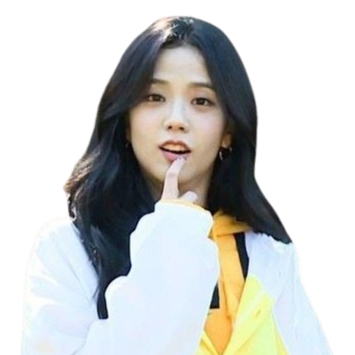 Sticker Maker - Jisoo Iconic Meme