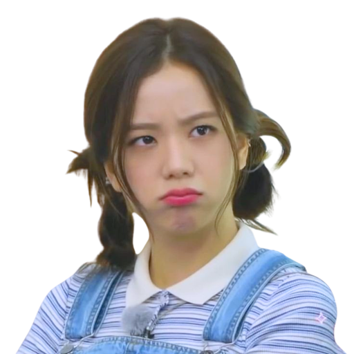 Sticker Maker - Jisoo Iconic Meme