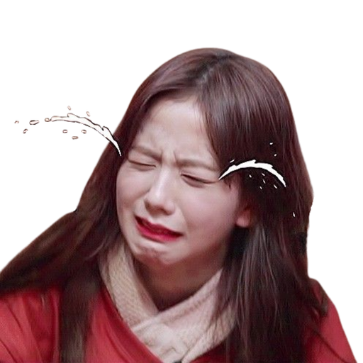 Sticker Maker - Jisoo Iconic Meme