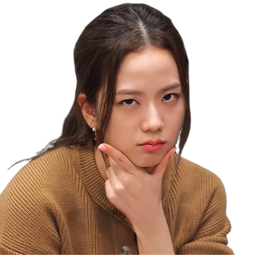 Sticker Maker - Jisoo Iconic Meme