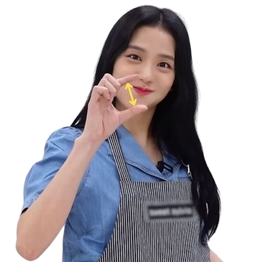 Sticker Maker - Jisoo Iconic Meme