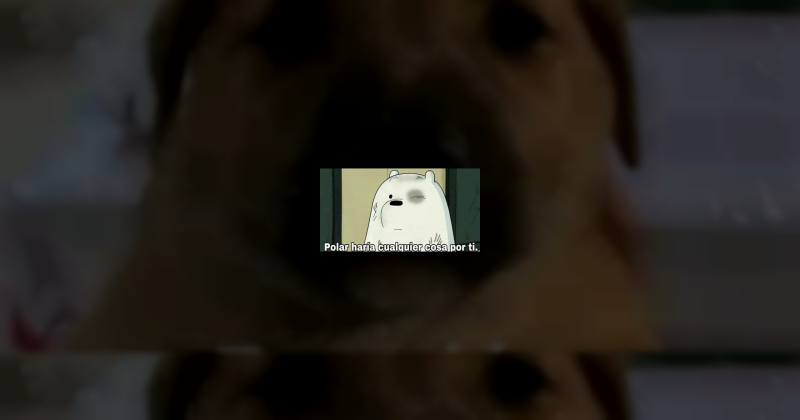 Sticker Maker - jooo