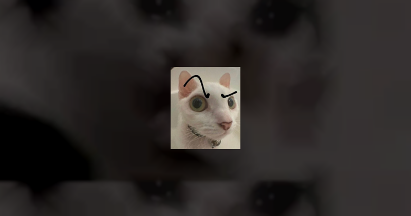 Sticker Maker - Kitty