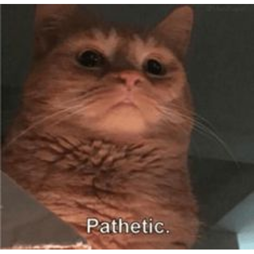 Sticker Maker - kitty memes