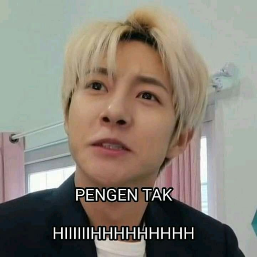 Sticker Maker - KPOP MEME