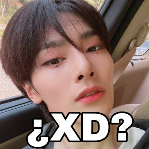 Sticker Maker - Kpop stan