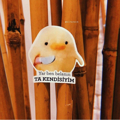 Sticker Maker - KUSTURMALI PACKKKKK OHh createdd-Berkeee