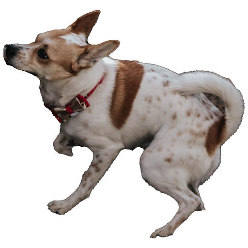Sticker Maker - Lark Sticker Pack 1.0