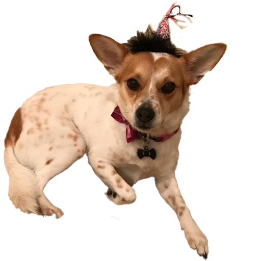Sticker Maker - Lark Sticker Pack 1.0