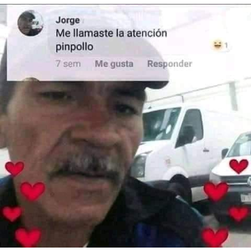 Sticker Maker - Laura