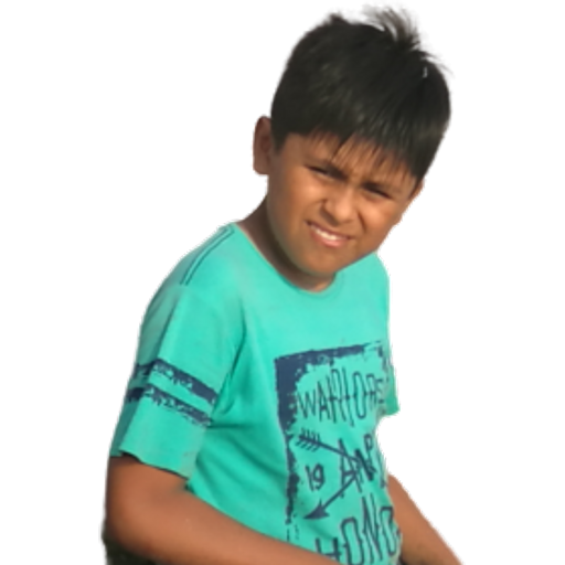 Sticker Maker - LCV