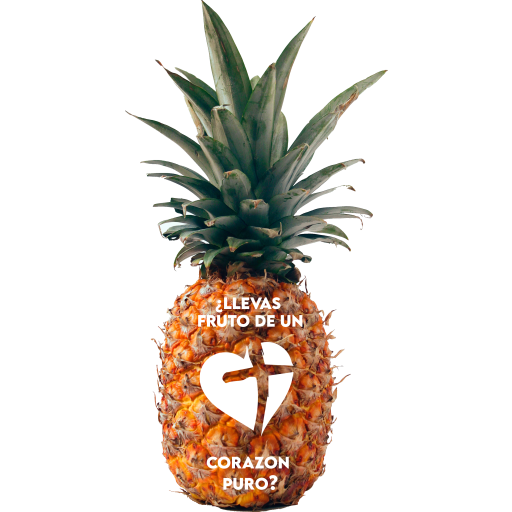 Sticker Maker - LDC2020