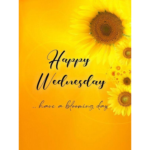 Sticker Maker - Li Qing