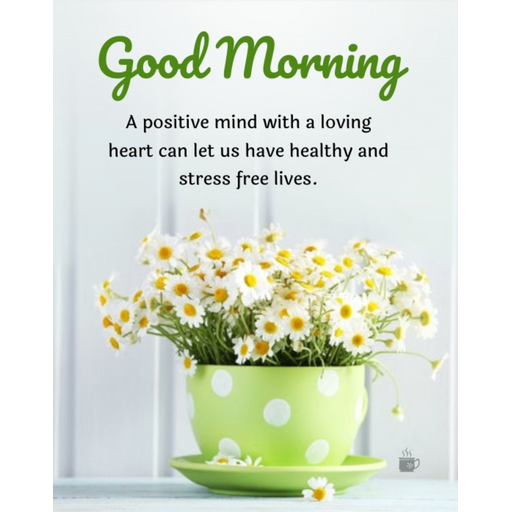 Sticker Maker - Li Qing