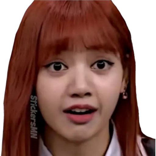 Sticker Maker - Lisa - Blackpink 🖤