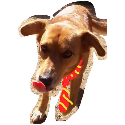 Sticker Maker - LocalMemes