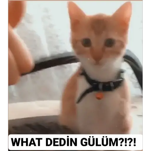 Sticker Maker - Lokum