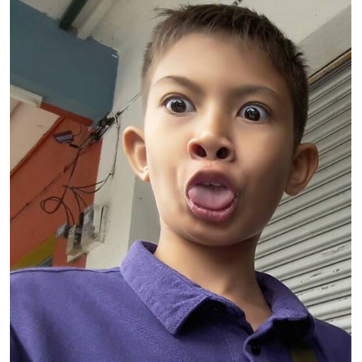 Sticker Maker - Ma Bro