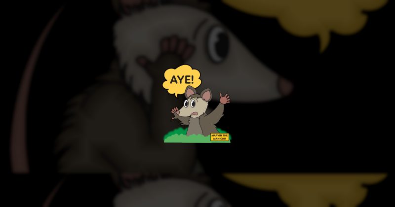 Sticker Maker - Marvin the Manicou