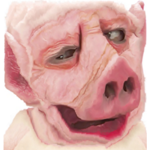 Sticker Maker - max heil