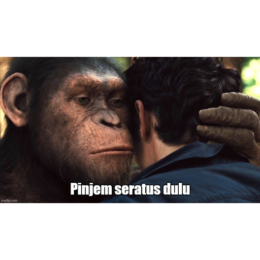 Sticker Maker - Meme Apes