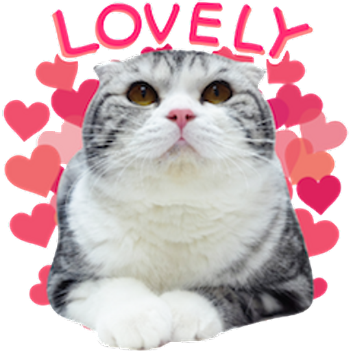 Sticker Maker - meme cats