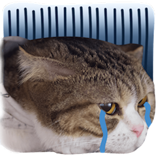 Sticker Maker - meme cats