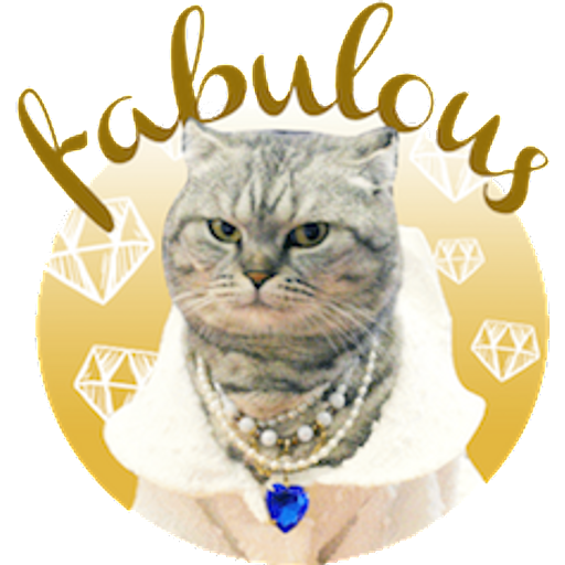 Sticker Maker - meme cats