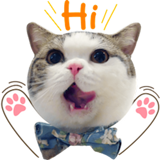 Sticker Maker - meme cats