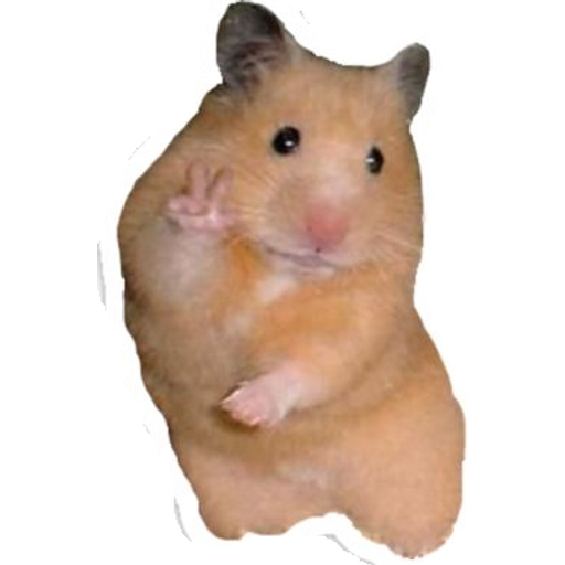 Sticker Maker - Meme Compilation