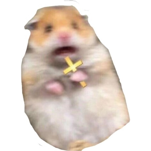 Sticker Maker - Meme Compilation