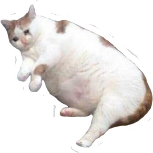 Sticker Maker - Meme Compilation