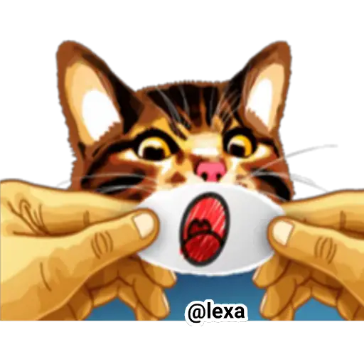 Sticker Maker - MEME el ? gato