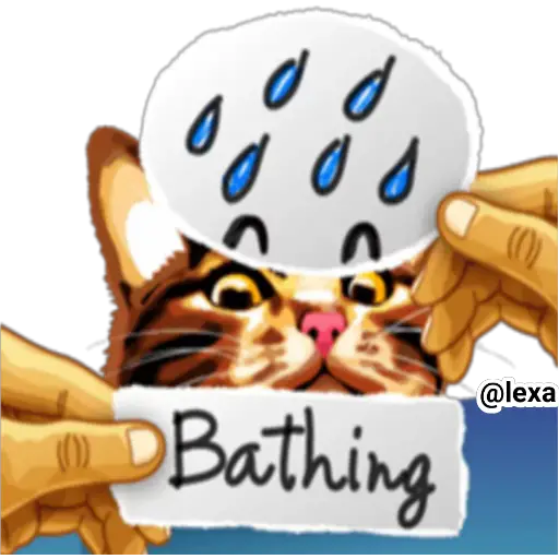 Sticker Maker - MEME el ? gato