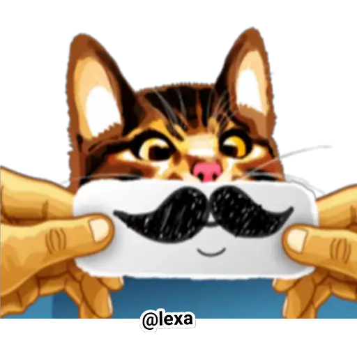 Sticker Maker - MEME el ? gato