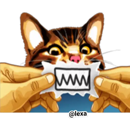Sticker Maker - MEME el ? gato