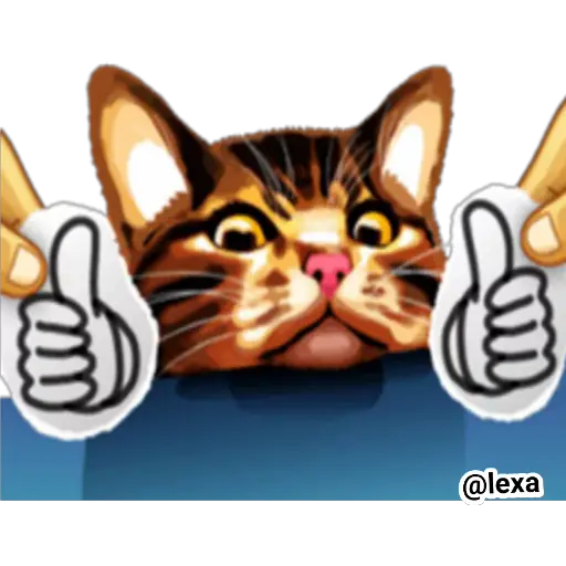 Sticker Maker - MEME el ? gato