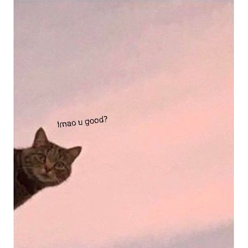 Sticker Maker - Meme Pack