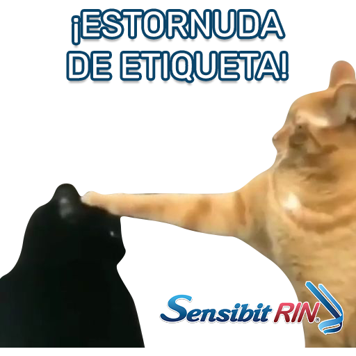 Sticker Maker - meme rin