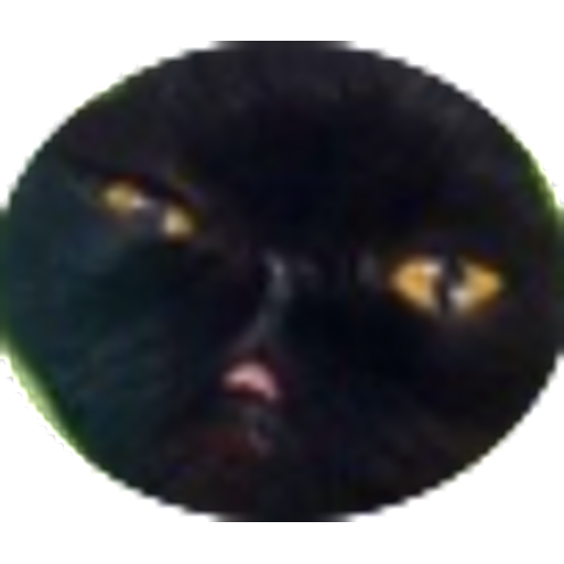 Sticker Maker - meme worthy cat stickers!