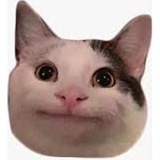 Sticker Maker - meme worthy cat stickers!