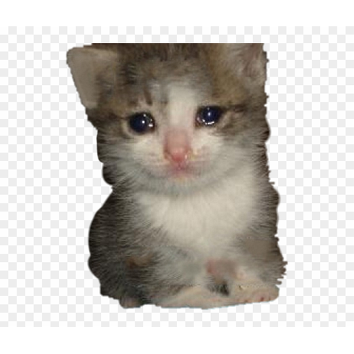 Sticker Maker - Memes 1