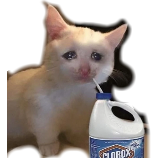 Sticker Maker - Memes 1