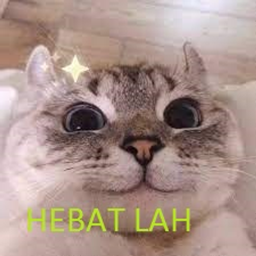 Sticker Maker - memes