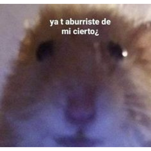 Sticker Maker - Memes