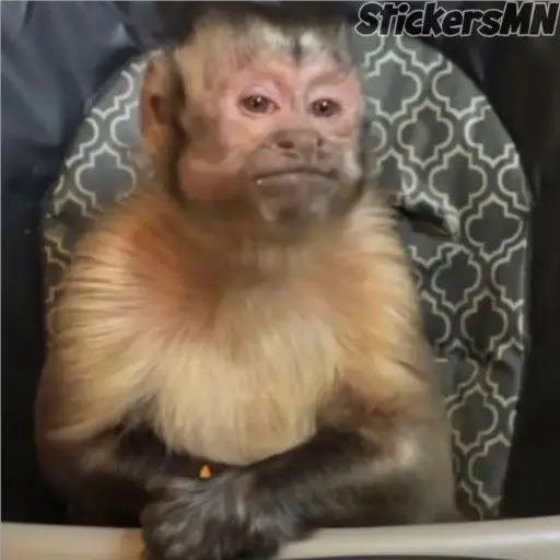 Sticker Maker - Memes Del Monito??