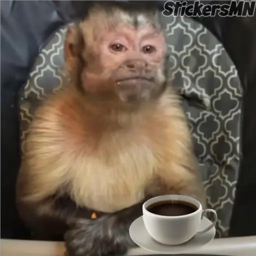 Sticker Maker - Memes Del Monito??