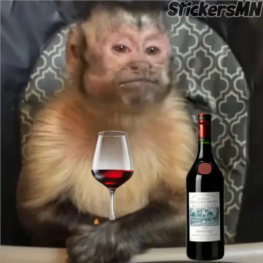 Sticker Maker - Memes Del Monito??
