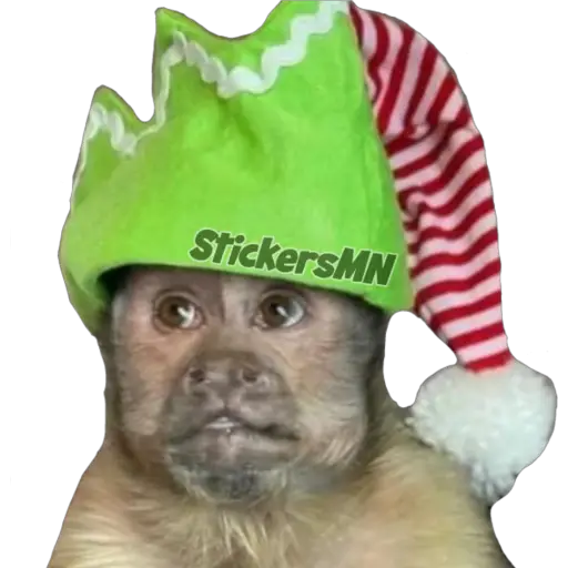 Sticker Maker - Memes Del Monito??