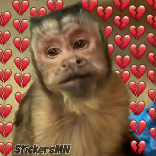 Sticker Maker - Memes Del Monito??
